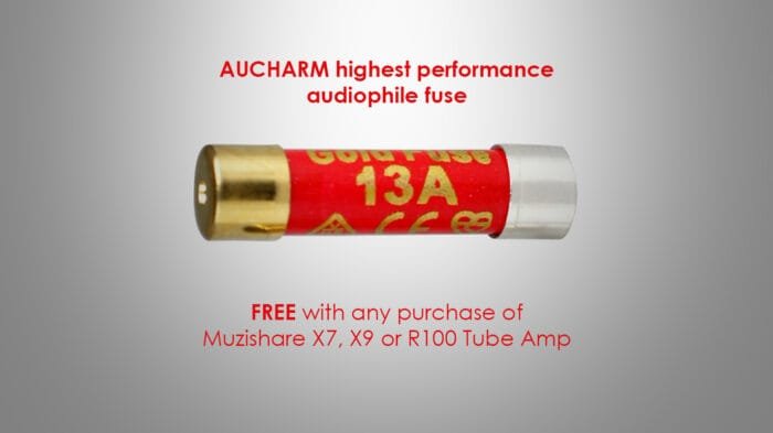 35% lower in Worldwide Shipping Rates for ALL Muzishare Amps with FREE ...